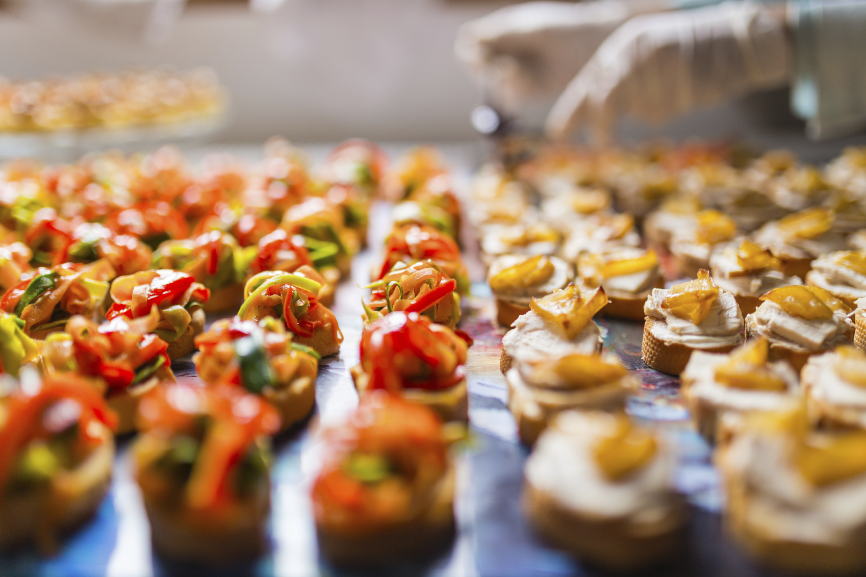 ESS Support Services Alaska